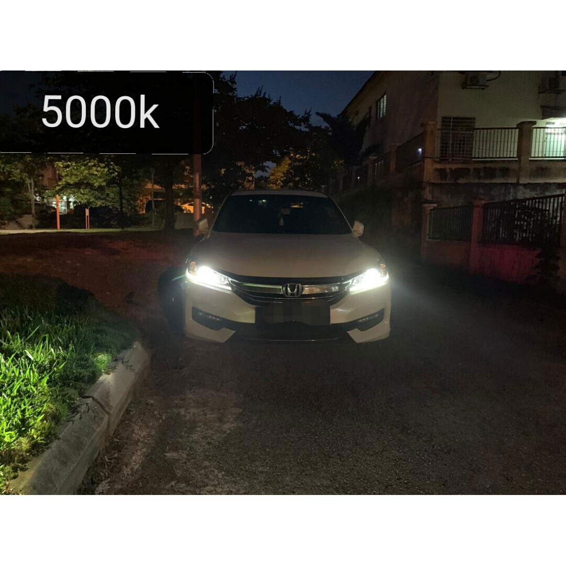 BLAUPUNKT 236660W H8, H11, H16 6000K Head Lamp LED Malaysia