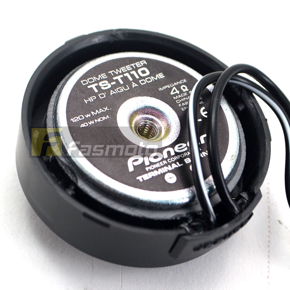 Pioneer TS-T110 Speakers Malaysia